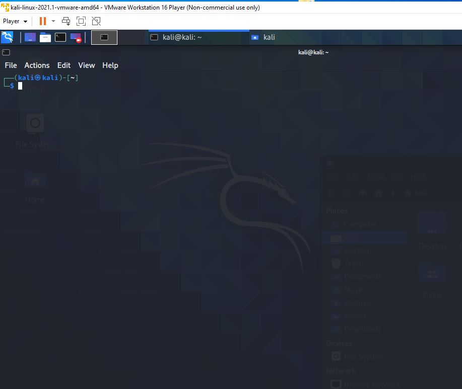 Lab 6: Using Kali Linux | Ian Neil’s Security+ Study Materials